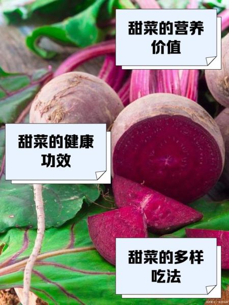 甜菜菜谱图片大全_甜菜怎么做好吃-第1张图片-山城妙识