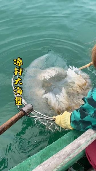 海蜇怎么保存才新鲜_海蜇图片大全活着的-第1张图片-山城妙识