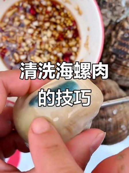 海螺怎么清洗才干净_海螺的做法大全-第2张图片-山城妙识 海螺怎么清洗才干净_海螺的做法大全-第2张图片-山城妙识
