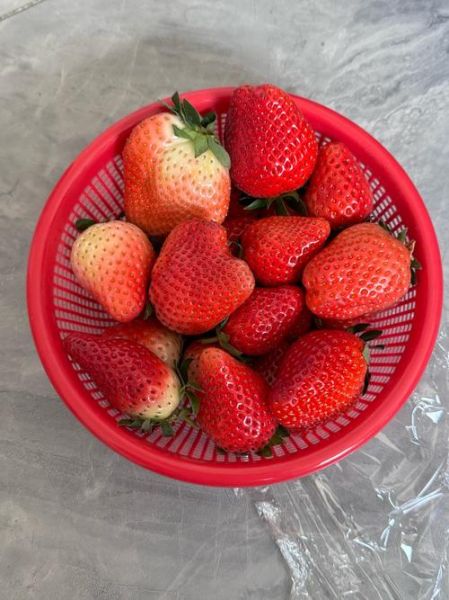 草莓味奶油怎么调_草莓奶油比例是多少-第2张图片-山城妙识