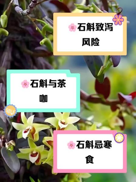 石斛花泡水喝的禁忌_哪些人不能喝-第2张图片-山城妙识