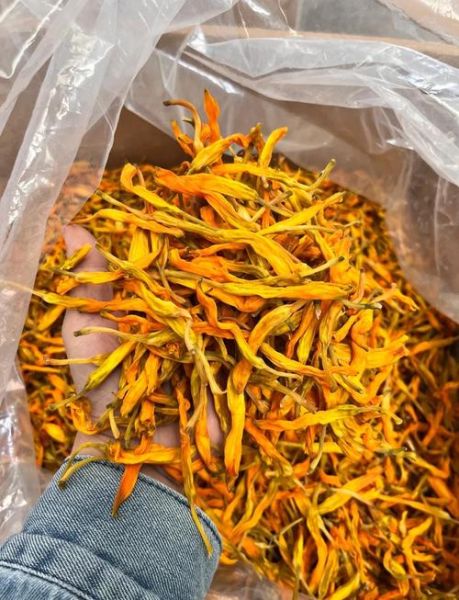 鲜黄花菜怎么处理才能吃_鲜黄花菜去毒方法-第3张图片-山城妙识