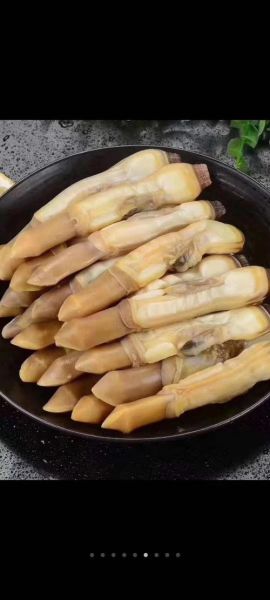 蛏子王怎么挑选_蛏子王多少钱一斤-第3张图片-山城妙识