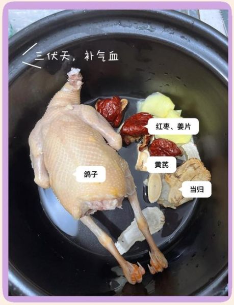 清蒸鸽子汤怎么做_清蒸鸽子汤要焯水吗-第2张图片-山城妙识