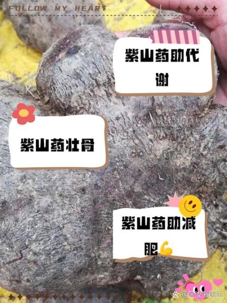 紫山药的禁忌_紫山药的副作用有哪些-第1张图片-山城妙识