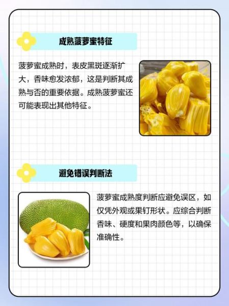 菠萝蜜图片真实_如何辨别成熟菠萝蜜-第1张图片-山城妙识