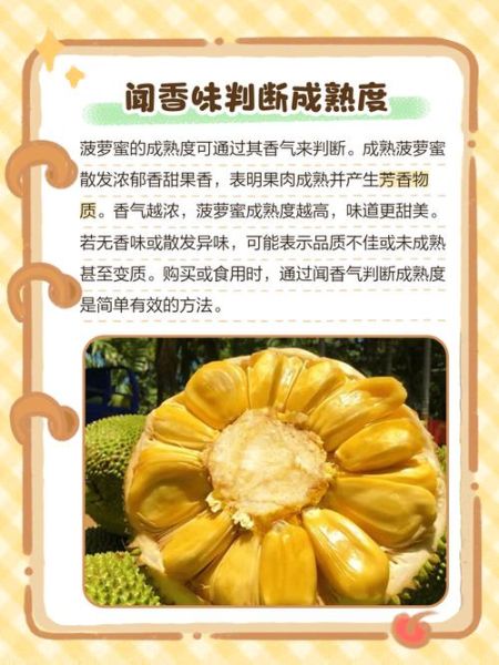 菠萝蜜图片真实_如何辨别成熟菠萝蜜-第3张图片-山城妙识