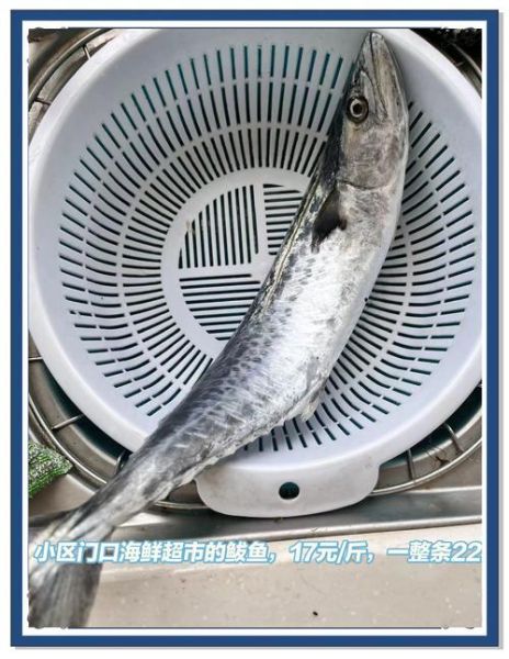 清蒸鲅鱼干怎么做_清蒸鲅鱼干要泡多久-第1张图片-山城妙识