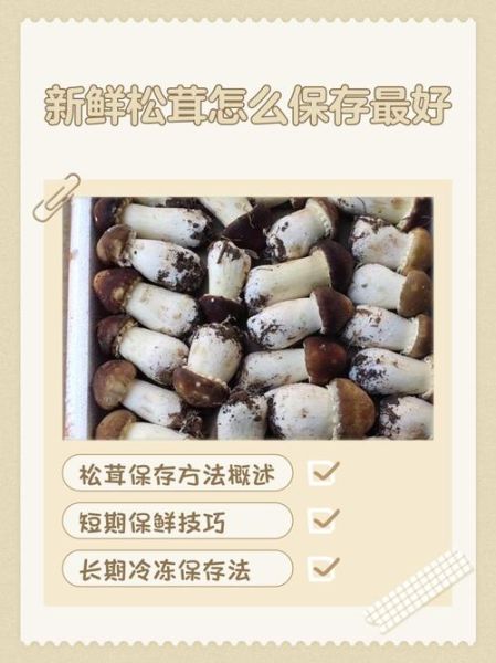 松茸怎么保存最好_松茸保存方法能放多久-第1张图片-山城妙识