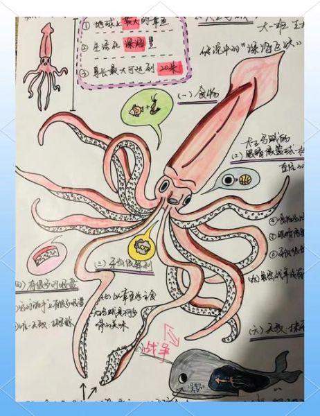 乌贼王怎么进化_乌贼王进化条件-第1张图片-山城妙识