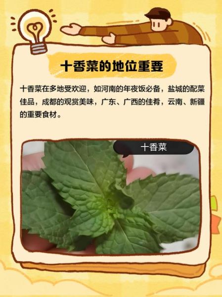 十香菜怎么做好吃_十香菜的家常做法-第3张图片-山城妙识