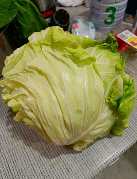 高丽菜怎么保存_高丽菜可以生吃吗-第1张图片-山城妙识