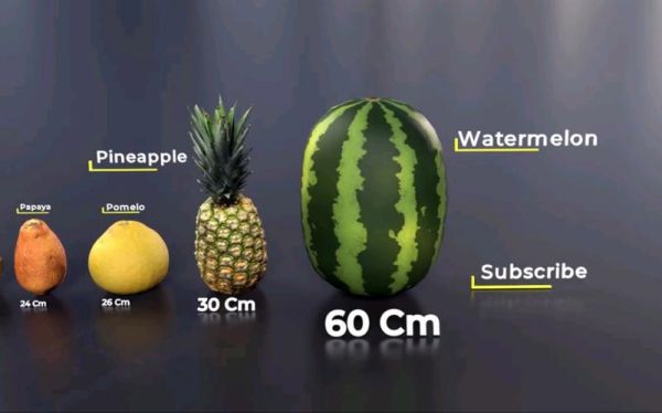 watermelon_spelling_correctly-第3张图片-山城妙识 watermelon_spelling_correctly-第3张图片-山城妙识