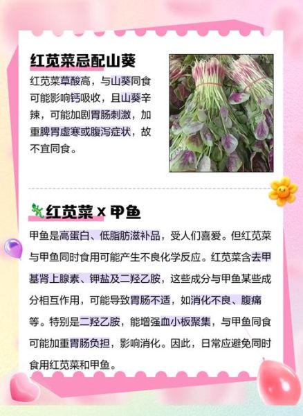 苋菜什么人能吃_什么人不能吃-第2张图片-山城妙识 苋菜什么人能吃_什么人不能吃-第2张图片-山城妙识