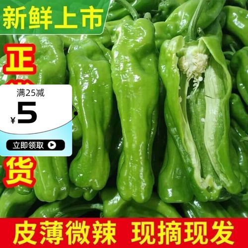 青尖椒辣不辣_青尖椒怎么保存不软-第2张图片-山城妙识