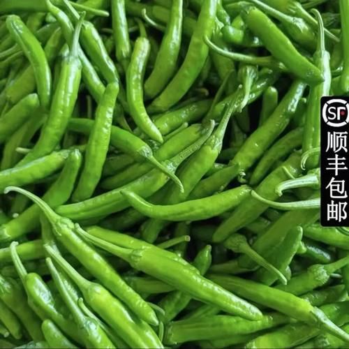 青尖椒辣不辣_青尖椒怎么保存不软-第1张图片-山城妙识