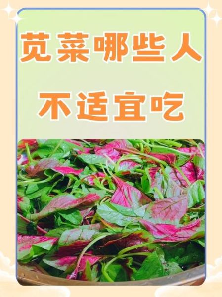 苋菜什么人能吃_什么人不能吃-第3张图片-山城妙识 苋菜什么人能吃_什么人不能吃-第3张图片-山城妙识