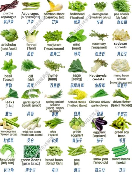 叶菜类蔬菜图片大全_如何快速识别常见品种-第2张图片-山城妙识