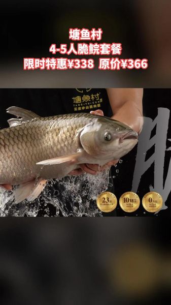 脆肉鲩多少钱一斤_脆肉鲩价格影响因素-第1张图片-山城妙识 脆肉鲩多少钱一斤_脆肉鲩价格影响因素-第1张图片-山城妙识