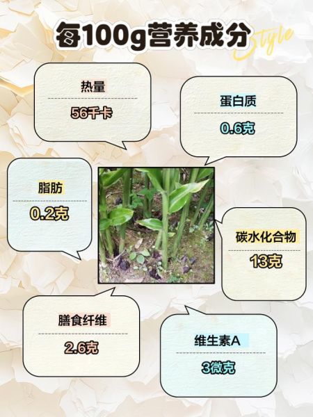 洋荷姜孕妇可以吃吗_孕期吃洋荷姜安全吗-第1张图片-山城妙识