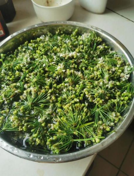 韭菜花酱怎么做_正宗韭菜花酱的做法大全-第2张图片-山城妙识