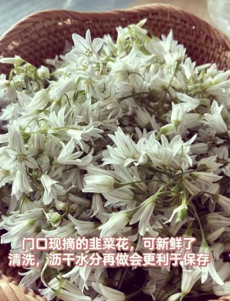 韭菜花酱怎么做_正宗韭菜花酱的做法大全-第1张图片-山城妙识