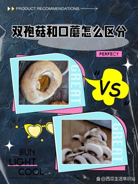 双孢菇里面发黑能吃吗_怎么判断还能不能吃-第1张图片-山城妙识