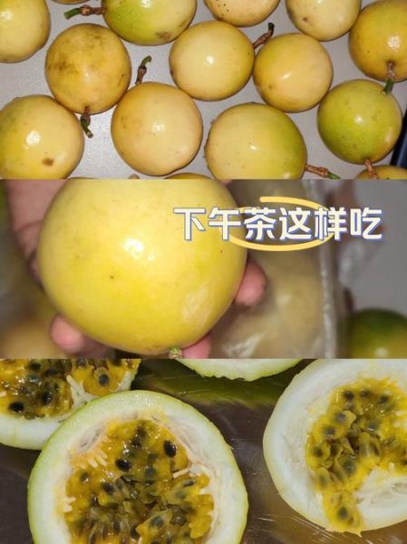 香果怎么吃_香果的正确吃法-第3张图片-山城妙识