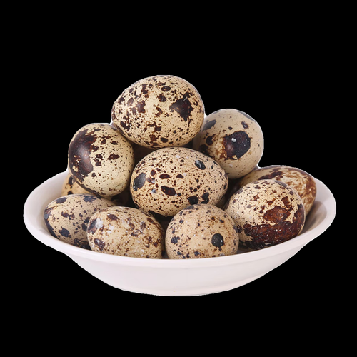 孕妇可以吃鹌鹑蛋吗_孕期吃鹌鹑蛋安全吗-第1张图片-山城妙识