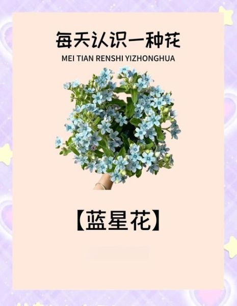 洋桔梗花语是什么_洋桔梗怎么养护-第2张图片-山城妙识