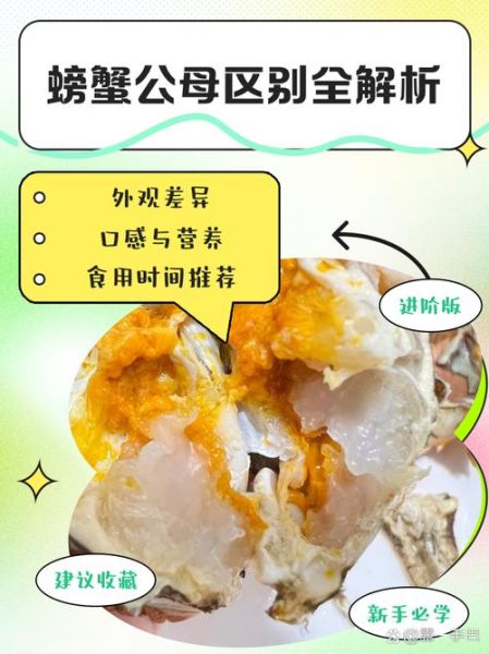 螃蟹公母怎么区分_螃蟹公母哪个好吃-第3张图片-山城妙识