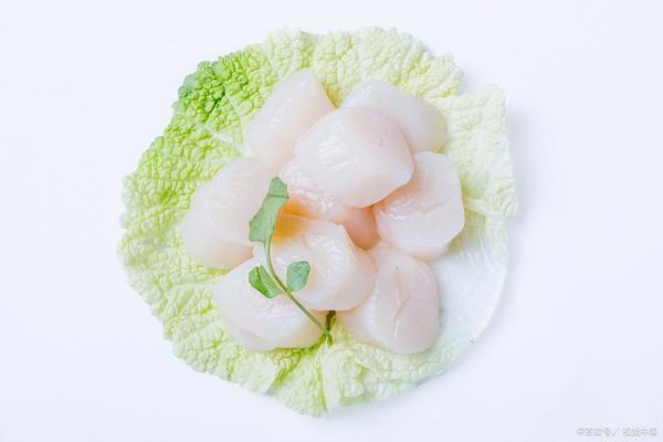 鲜贝柱怎么做好吃_鲜贝柱的营养价值-第2张图片-山城妙识 鲜贝柱怎么做好吃_鲜贝柱的营养价值-第2张图片-山城妙识