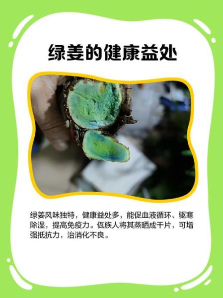 生姜发芽变绿还能吃吗_生姜变绿有毒吗-第1张图片-山城妙识