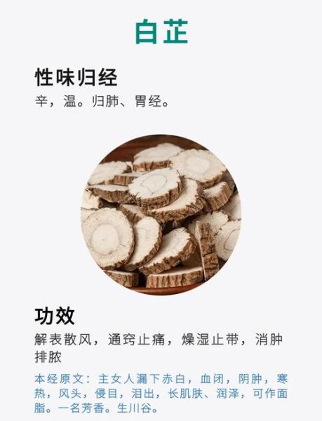 白芷的功效与作用_白芷怎么吃效果最好-第3张图片-山城妙识