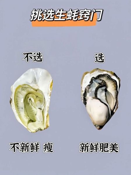 生蚝怎么挑选_生蚝图片大全-第1张图片-山城妙识 生蚝怎么挑选_生蚝图片大全-第1张图片-山城妙识