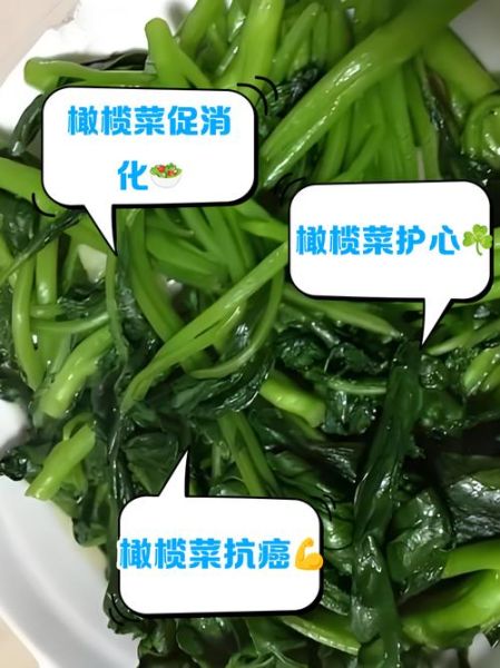 吃橄榄菜有什么好处_橄榄菜的营养价值-第2张图片-山城妙识