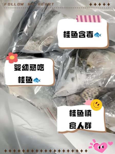 桂鱼禁忌人群有哪些_三种人坚决不能吃桂鱼-第2张图片-山城妙识