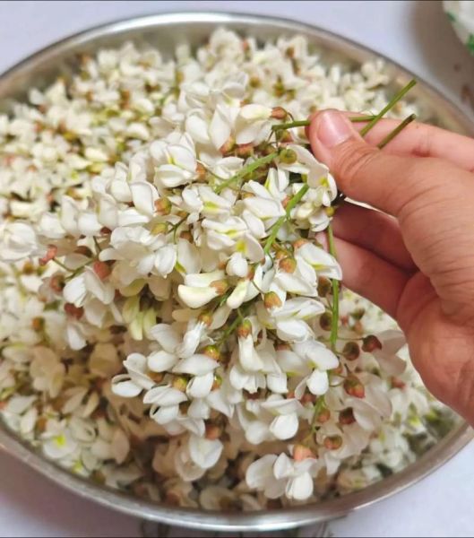 紫槐花怎么吃_紫槐花家常做法大全-第3张图片-山城妙识