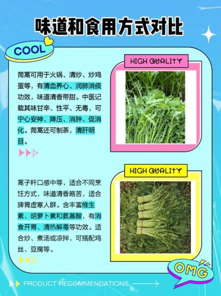 茼蒿读音是什么_茼蒿怎么读才标准-第1张图片-山城妙识