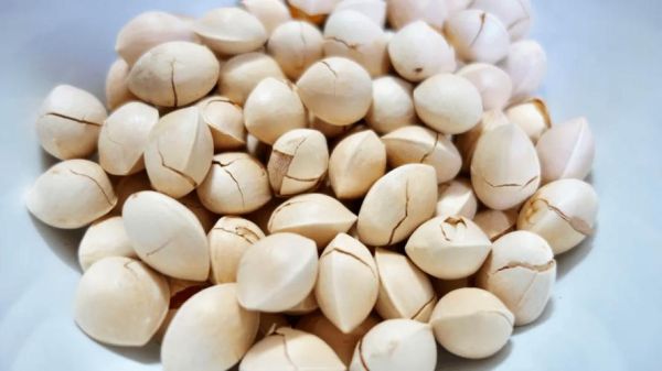 盐焗白果吃死人_中毒真相-第3张图片-山城妙识