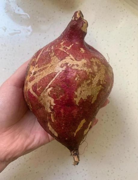 芝士焗地瓜烤箱温度时间_芝士焗地瓜怎么做-第1张图片-山城妙识