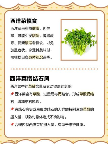 西洋菜的功效与作用_西洋菜怎么吃最营养-第3张图片-山城妙识 西洋菜的功效与作用_西洋菜怎么吃最营养-第3张图片-山城妙识