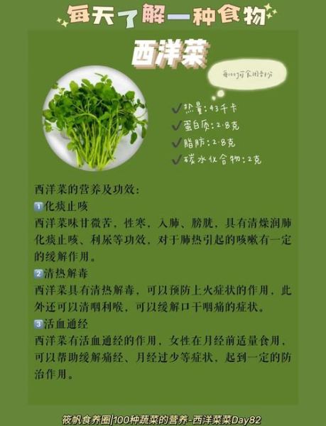西洋菜的功效与作用_西洋菜怎么吃最营养-第1张图片-山城妙识 西洋菜的功效与作用_西洋菜怎么吃最营养-第1张图片-山城妙识