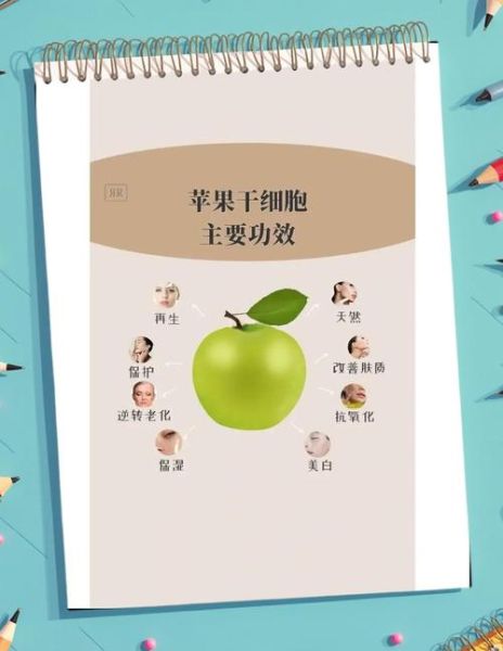 苹果干细胞原液有什么功效_苹果干细胞原液怎么用-第2张图片-山城妙识 苹果干细胞原液有什么功效_苹果干细胞原液怎么用-第2张图片-山城妙识