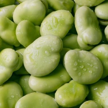 罗汉豆图片_罗汉豆长什么样-第1张图片-山城妙识