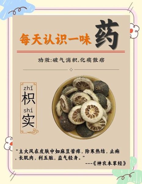 枳实和枳壳的功效区别_哪个更适合调理脾胃-第2张图片-山城妙识 枳实和枳壳的功效区别_哪个更适合调理脾胃-第2张图片-山城妙识