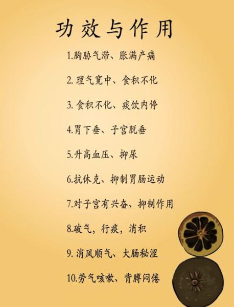 枳实和枳壳的功效区别_哪个更适合调理脾胃-第1张图片-山城妙识 枳实和枳壳的功效区别_哪个更适合调理脾胃-第1张图片-山城妙识