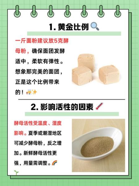 一斤面粉放多少酵母粉_发酵失败怎么办-第2张图片-山城妙识 一斤面粉放多少酵母粉_发酵失败怎么办-第2张图片-山城妙识