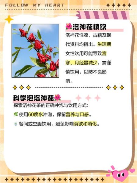 洛神花茶副作用_洛神花茶什么人不能喝-第3张图片-山城妙识