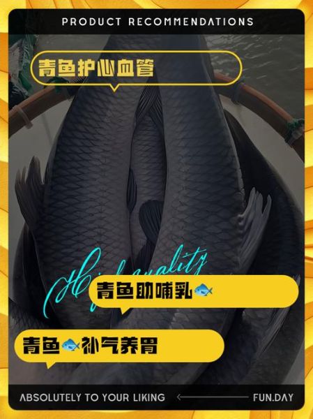 青鱼的营养价值_青鱼的功效与作用-第2张图片-山城妙识